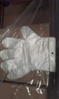 China Clear Plastic Gloves, Cryo Protective Gloves, Disposable Food Prep Gloves, Gloves Poly, Production of Gloves for sale