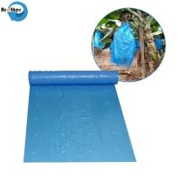 China China Factory Direct Wholesale Blue Perforated Polyethylene Plastic Protection Banana Bunch Cover for sale
