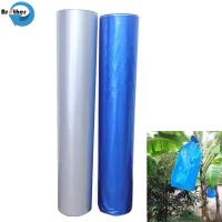 China Hot Sale Agricultural Biodegradable HDPE Material Blue Perforated Polyethylene Banana Protection Bag for sale