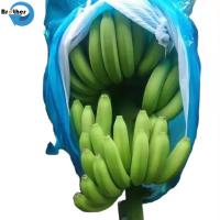 China Perforated Polyethylene Banana Bunch Protection Bag for sale