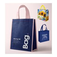 China Promotional Reusable Foldable PP Non Woven Shopping Bag for sale