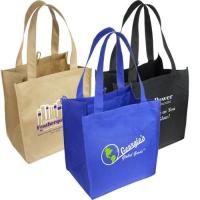 China Promotional PP Laminated Non Woven Shopping Bag for sale