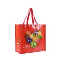 China Reusable PP Non Woven Laminated Shopping Bag for sale