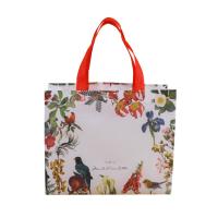 China China Factory Promotional Laminated Custom Shopping PP Non Woven Bag for sale