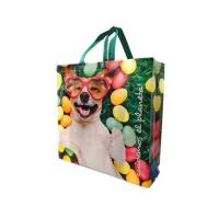 China Glossy PP Woven Laminated Tote Packaging Sewing Reusable Webbing Handle Gift Fashion Eco-Friendly Shopping Bag for sale