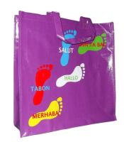 China Fashionable PP Woven Shopping Bag for Apparel for sale