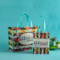China Reusable Promotional PP Woven Zipper Tote Shopping Bag for sale