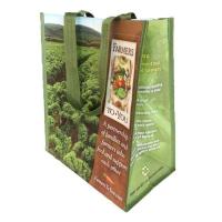 China Laminated PP Woven Bag, Non-Woven Shopping Tote Bag for sale