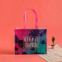 China Foldable Recyclable Plastic Printed Tote Carry Handle Plastic Shopping Bag for sale