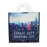 China Chinese Manufacturer Recycled Wholesale Promotion Custom Logo Printed Reusable Tote Shopping PP Woven Laminated Bag for sale
