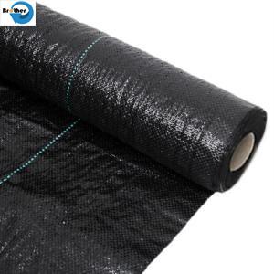 China Agriculture Spunbonded Fabirc/Fruit/Plant/Flowers/Weeds/Crops Cover/Nonwoven Fabric Roll for sale