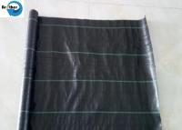China Sun UV Radiation Protection PP Spunbond Nonwoven Fabric Rolls Non Woven Weed Barrier Control Landscape Fabric for sale