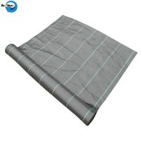 China PP Anti Weed Mat, Agricultural Plastic Weed Control Fabric, Black Weed Prevent Cloth with Cheap Price for sale
