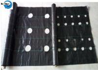 China Black/Green/White PP/PE/Plastic Woven Weed Control Geotextile/Fabric for Agriculture/Garden/Landscape100g-300g for 100% for sale