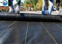 China Agricultural Plastic PP Woven Ground Cover Plastic Weed Control Mat Landscape Fabric for Sale for sale