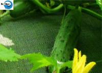 China China Weed Control Membrane Hot Film Black Weed Mat Plant Nursery Anti Grass Cloth UV Treatment Agricultural Ground mat for sale