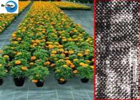China Anti Grass PP Weed Mat Weed Control Mat /Ground Cover/Landscape Fabric for sale
