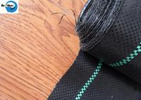 China Woven PP Weed Matting, Green/Black Weedmat for Agricultural Ground Cover Fabric for sale