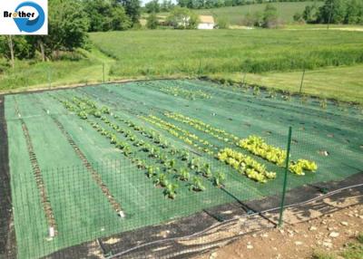 China UV Treated Agriculture Weed Control Mat Black Plastic Mulch Ground Cover Weed Barrier Fabric Anti Grass for sale