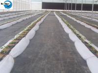 China Woven Agriculture Fabric PP Ground Cover / UV Treated Durable Weed Barrier Grass Control Fabric for sale