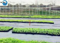 China Woven Agriculture Fabric PP Ground Cover / UV Treated Durable Weed Barrier Grass Control Fabric for sale