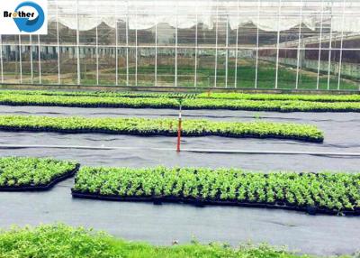 China Weed Control Membrane Hot Film Black Weed Mat Plant Nursery Anti Grass Cloth UV Treatment Agricultural Ground Cover for sale