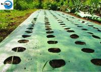 China Wholesale Ground Cover 100% Virgin PP Landscape Weed Control Mat Fabric High Quality for sale