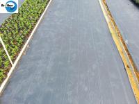 China UV Treated Agriculture Weed Control Mat Black Plastic Mulch Ground Cover Weed Barrier Fabric for sale