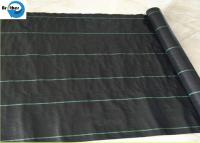 China PP Black Fabric Ground Cover Weed Mat Weed Control for Plant Protection for sale