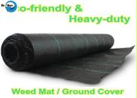 China Qualified Free Samples Agriculture Woven PP Woven Plastic Ground Cover Landscape Fabric for sale