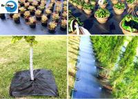 China Qualified Free Samples Agriculture Woven PP Woven Plastic Ground Cover Landscape Fabric for sale
