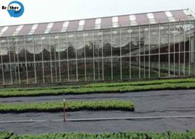 China UV Treated Agricultural 3.2m Woven Plastic Weed Control Mat Ground Cover Barrier Fabric Sheet for sale
