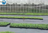 China PP Woven Ground Cover Garden PP Woven Weed Barrier Control Mat Landscape Fabric for sale
