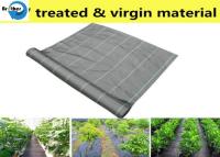 China Qualified Free Samples Agriculture Woven PP Woven Plastic Ground Cover Landscape Fabric for sale