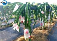 China 20 Year PE Woven Ground Cover /Weedmat /Weed Control Fabric with High UV for sale