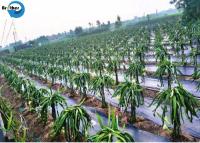 China Agriculture Polypropylene/Polyethylene Woven Geotextile Fabric for Ground Cover Weed Control Mat Barrier for sale