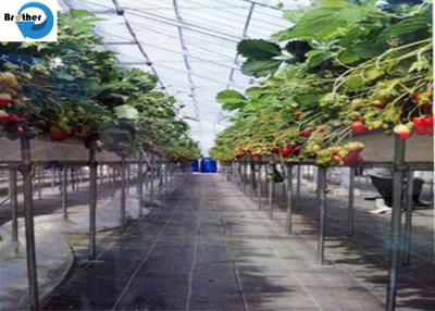 China Wholesale Factory Price Black Anti-UV PP Woven Weed Mat Ground Cover Weed Control Fabric for sale