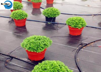 China PP Woven Ground Cover Garden PP Woven Weed Barrier Control Mat Landscape Fabric for sale