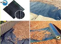China Weedmat /Weed Control Fabric /PP Woven Ground Cover /Ground Cover Fabric with UV for sale