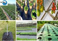 China Black Mulch Mat, Landscape Fabric, Membrance Ground Cover, Weed Control Fabric for sale