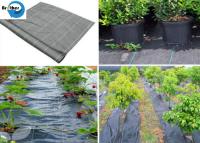 China Heavy Duty Weed Control Fabric Membrane Garden Ground Cover Mat Landscape Sheet for sale