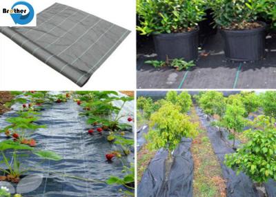 China Heavy Duty Weed Control Fabric Membrane Garden Ground Cover Mat Landscape Sheet for sale