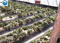 China Erosion Control Weed Mat Plastic Spunbond Ground Cover Weed Barrier Roll Fabric for sale