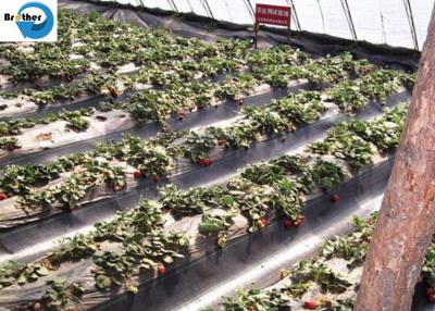 China Erosion Control Weed Mat Plastic Spunbond Ground Cover Weed Barrier Roll Fabric for sale