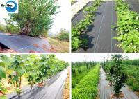 China Heavy Duty Weed Control Fabric Membrane Garden Ground Cover Mat Landscape Sheet for sale