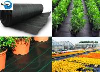China Agriculture Polypropylene/Polyethylene Woven Geotextile Fabric for Ground Cover Weed Control Mat Barrier for sale