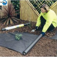 China 20 Year PE Woven Ground Cover /Weedmat /Weed Control Fabric with High UV for sale