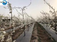China PP/PE/Plastic Woven Agricultural Garden Ground Cover/Geotextile/Anti Weed Control/Barrier Fabric for sale