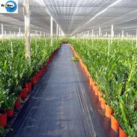 China Wholesale Amazon Weed Barrier Weed Control Ground Cover Membrane Landscape Fabric for sale