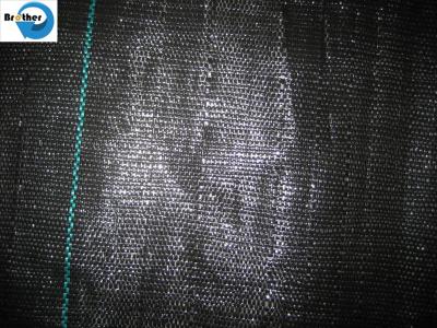 China 100% Anti Grass PP Woven Weed Control Cloth, Agro Plant Ground Cover Landscape Fabric for sale